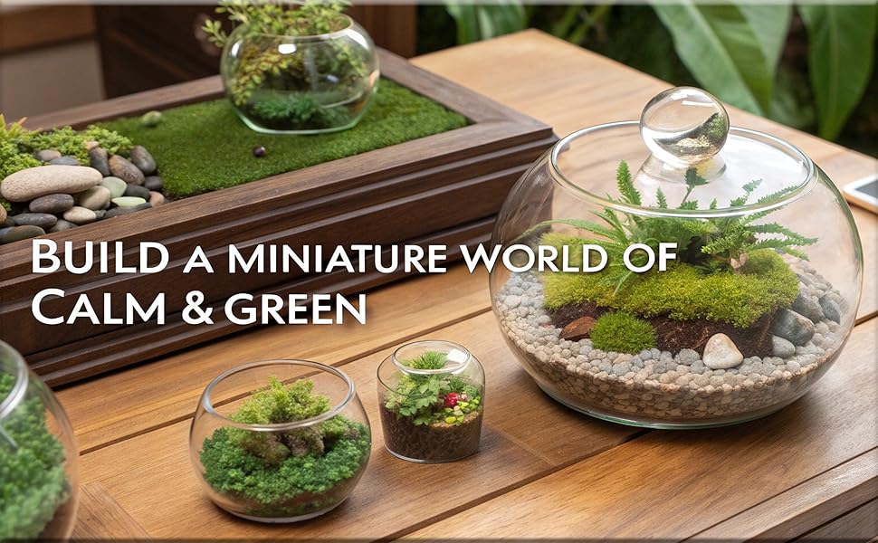 Creating Moss Terrariums: A Beginner’s Guide to Building and Caring for Your Moss Garden (Home ...