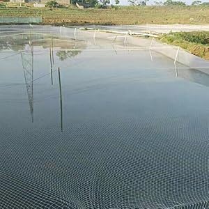 33 x 16 Ft Anti Bird Netting, Anti Bird Mesh, Garden Bird Netting, Reusable Nylon Anti Bird ...