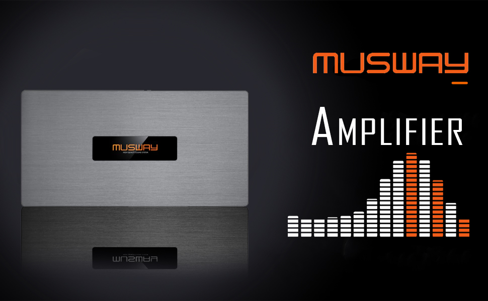 MUSWAY Car Audio DSP Amplifier Combo, 6 Channels, 4 Amplifier Channels, Black D1S : Amazon.in ...