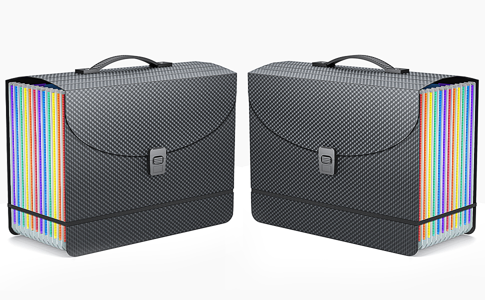 Amazon.com : Vanulee Accordion File Organizer/Expanding File Folder with Handle,13 Pockets ...