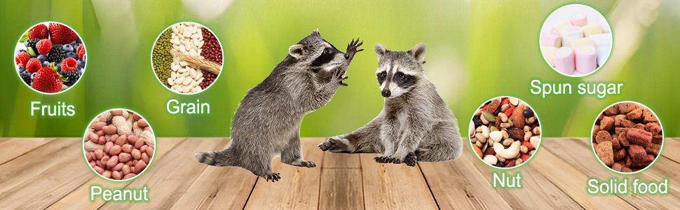 Gluckluz Animal Cage Trap, Large 2-Doors Humane Catch and Release Foldable Cage for Stray Cats ...