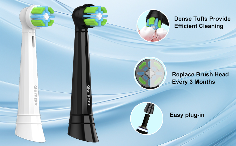 Amazon.com : 12 Pack Toothbrush Replacement Heads Compatible with Oral ...