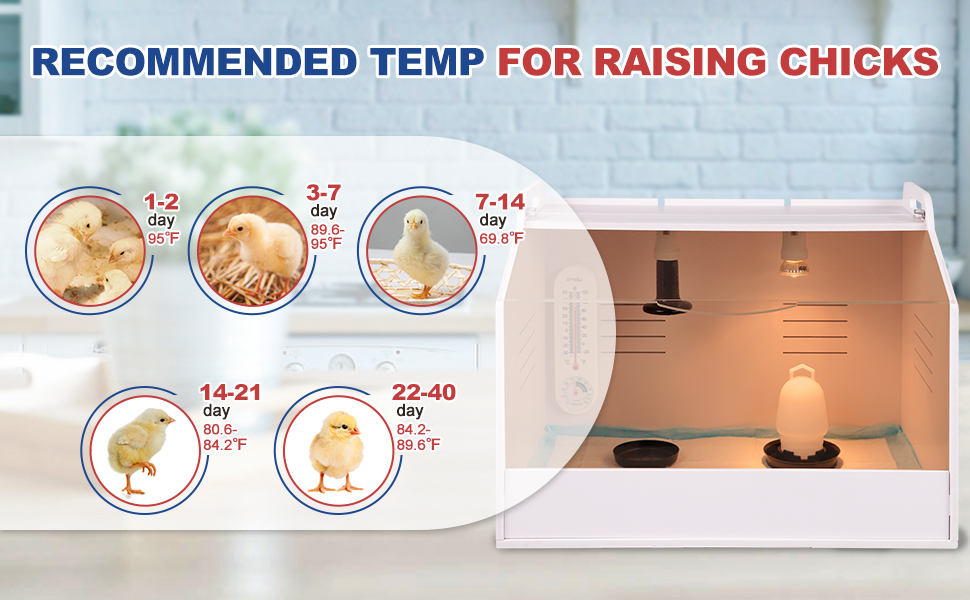 Amazon.com: Chick Brooder Brooding Box with Heating lamp, Chicken Water Feeder Brooder Box Warms ...