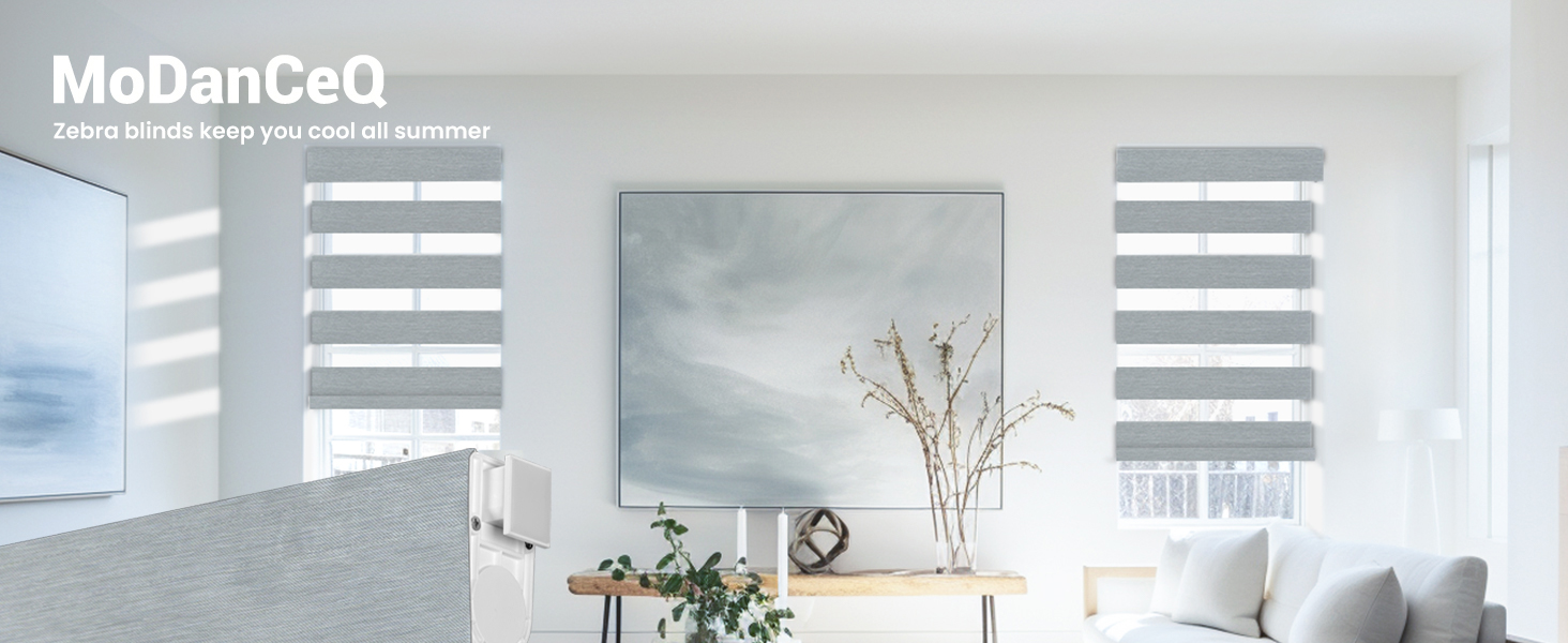 Amazon.com: MoDanCeQ No Drill No Tools Cordless Dual Layer Zebra Blinds for Windows, Blackout ...