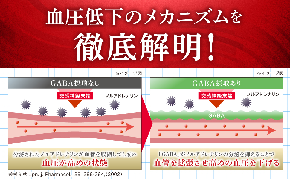 Amazon | 血圧ケア習慣 血圧下げるサプリ 機能性表示食品 血圧 血圧対策 GABA ヒハツ 30日分 (単品) | 壮健堂 | 植物由来サプリメント