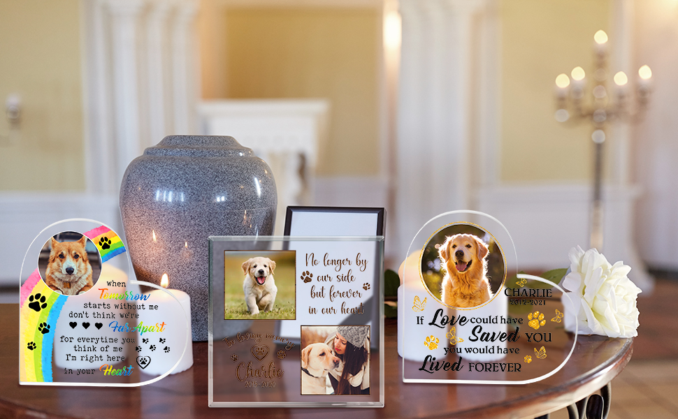 Amazon.com : Personalized Dog Memorial Acrylic Photo Plaque, Best Friends Come Into Our Lives ...