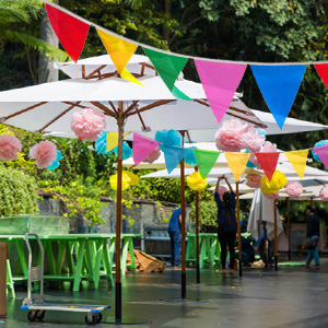 Amazon.com : 250pcs Multicolor Pennant Flags,LOOBJOYGAME 263Ft Nylon ...