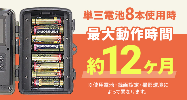 Amazon.co.jp: WTW 塚本無線 トレイルカメラ 防犯カメラ 4K 4200万画素 APモード 安心の国内サポート スマホ対応 WTW-TC31AP : 家電＆カメラ