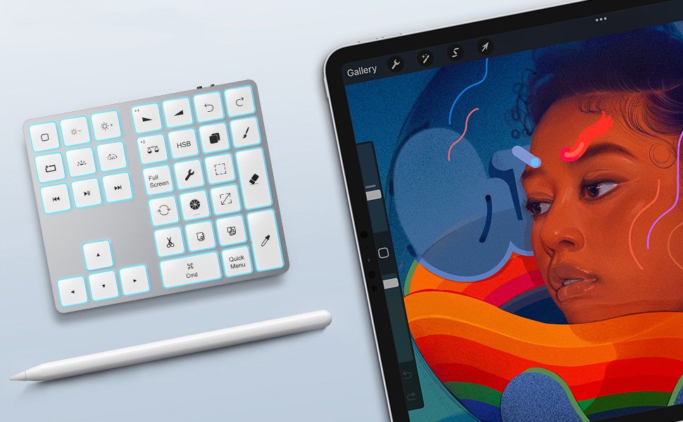 Amazon.com: Dlinda Wireless Keyboard for Procreate, Procreate Keyboard ...