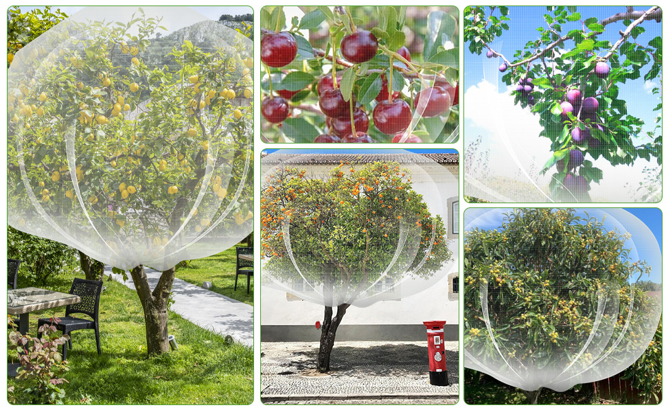 Amazon.com : 2PCS Large Fruit Tree Netting with Drawstring and Zipper, 6 x 6.6FT Blueberry Bush ...