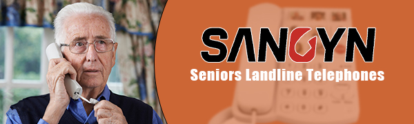 Sangyn Big Button Phones for Seniors, Landline Phone for Elderly with Picture Replaceable Extra ...