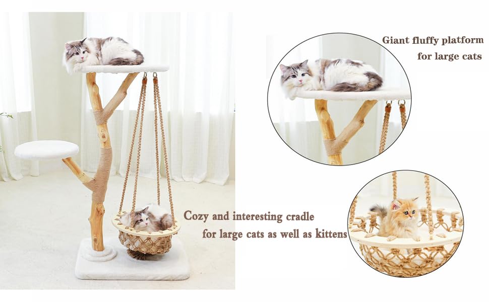 Amazon.com : Xiamiao 50" Tall Cat Tree Tower, Modern Cat Tree for Indoor Cats, Washable Wooden ...