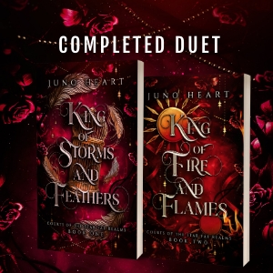 Amazon.com: King of Storms and Feathers: A Dark Fae Fantasy Romance (Courts of the Star Fae ...