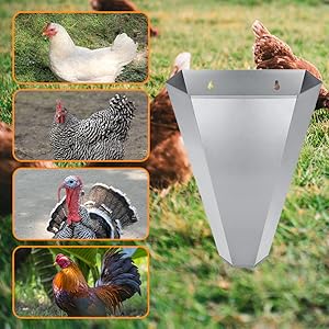Amazon.com : COZOFU Large-Sized Galvanized Steel Chicken Restraining Cone for Poultry, Suitable ...