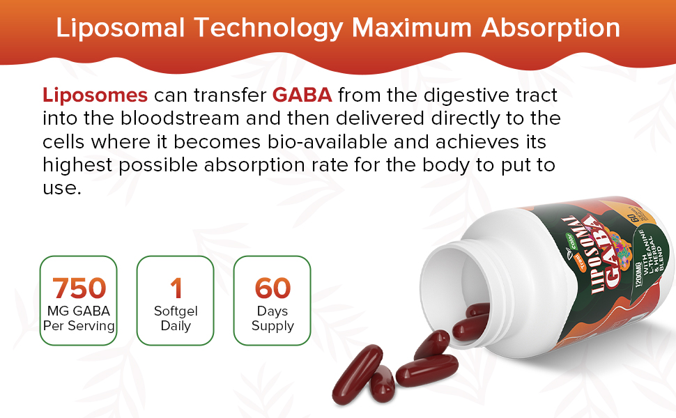 Amazon.com: Trasicolor Liposomal GABA with L-Theanine Supplements 1200mg - High Absorption GABA ...