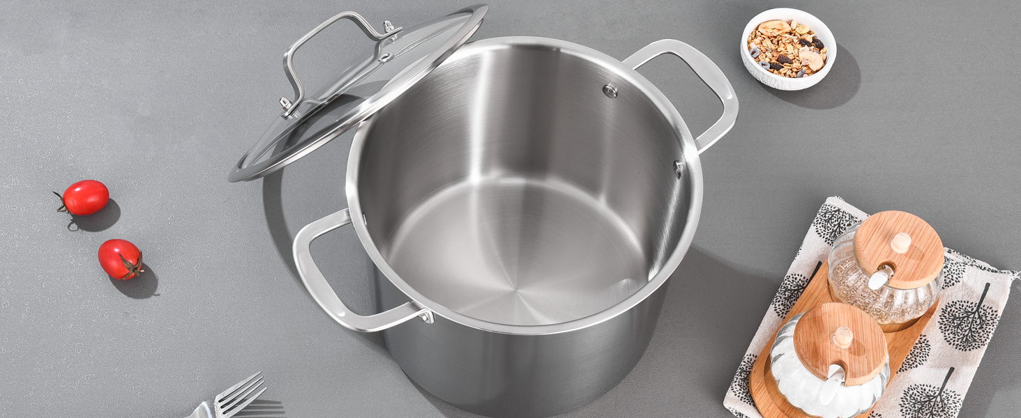 Amazon.com: DELARLO Tri-Ply Stainless Steel 8 Quart Stock Pot, All Stove Compatible Up to 600 ...