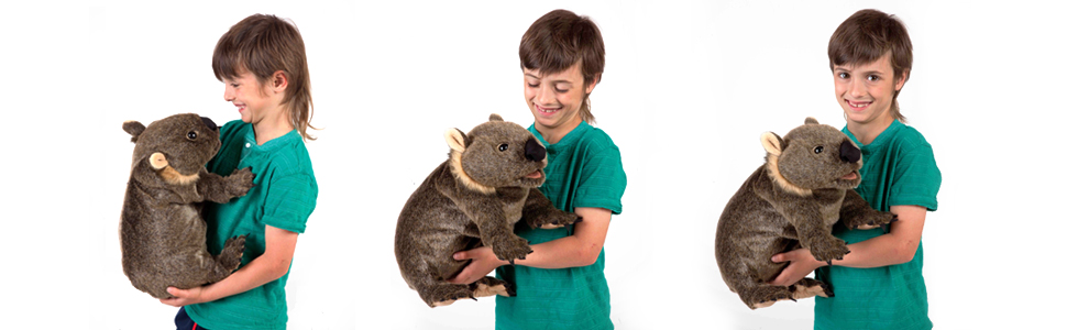 Amazon.com: Folkmanis Wombat Hand Puppet, One Size, Multicolor : Toys & Games