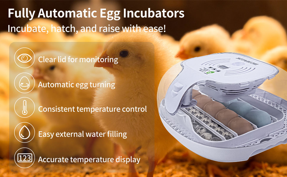 Amazon.com : Egg Incubator, 16 Egg Incubator with Automatic Egg Turning and Humidity Control ...