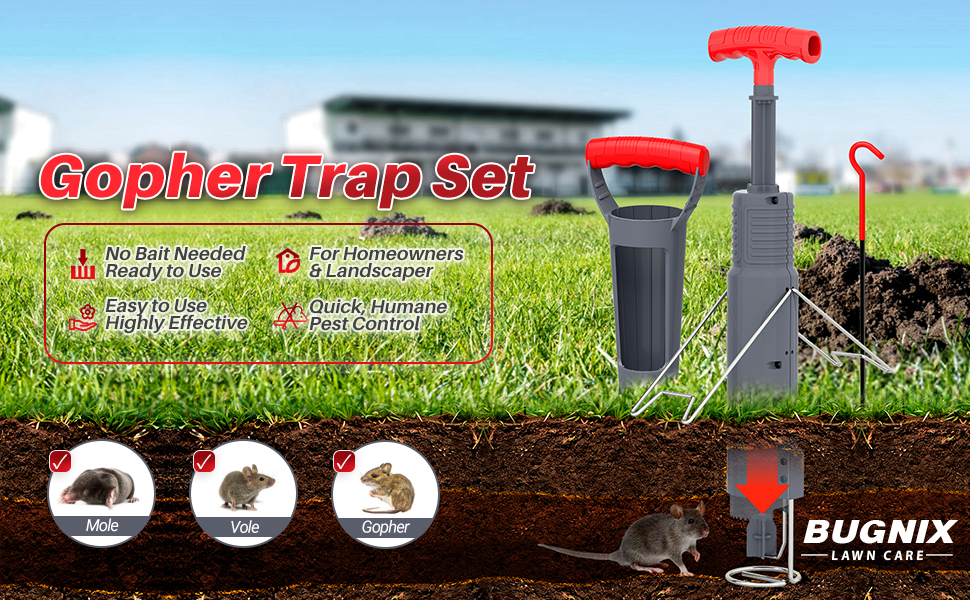 Amazon.com : Gopher Trap Set, Mole Trap, Effective Mole Control, Garden & Farm Trapping Set for ...