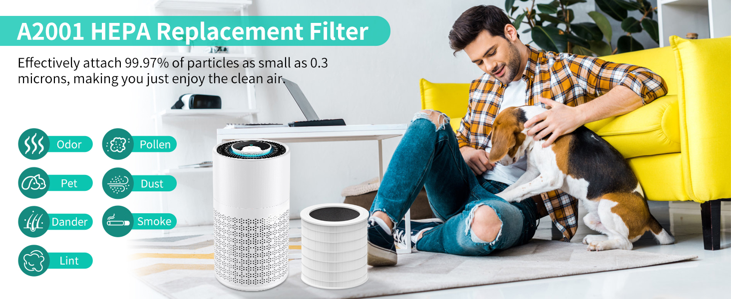 Amazon.com: A2001 Replacement Filter H13 True HEPA Compatible with A2001 Air Purifier, 3-in-1 ...