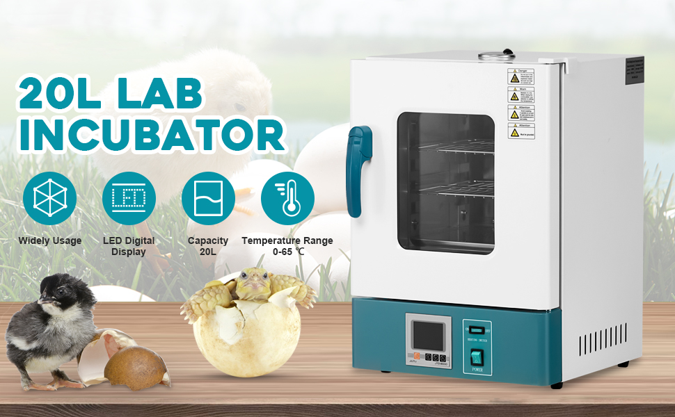 Amazon.com: GAOMON Lab Incubator 20L Incubator RT-65℃ Scientific Digital Incubator PID ...