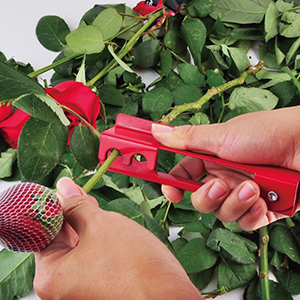 Amazon.com : Rose Stripper Thorn Remover Tool Leaf Burrs Pliers Kit 11Pcs Garden Glove Scissors ...