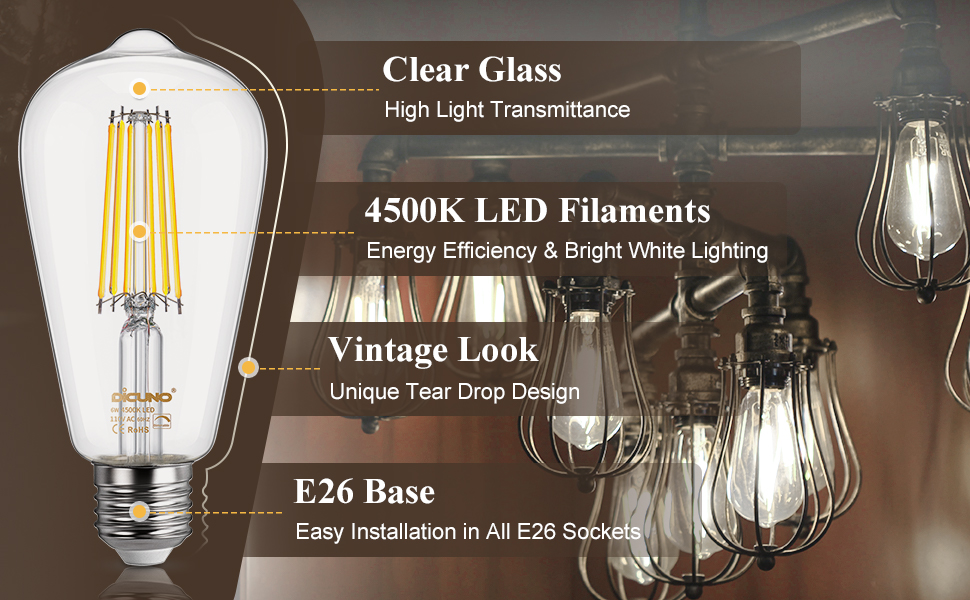 DiCUNO E26 Edison Bulb Vintage Lights 4500K Daylight White, ST64 Medium Standard Base Dimmable ...