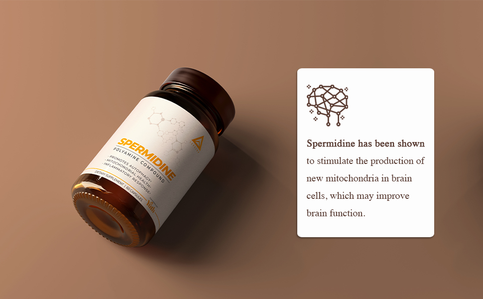 Amazon.com: LevelUp Spermidine Capsules, Most Researched Spermidine, 99% Concentration, 100x ...