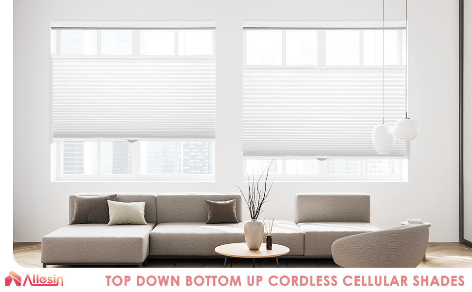 Amazon.com: Allesin Top Down Bottom Up Cellular Shades, Cordless ...