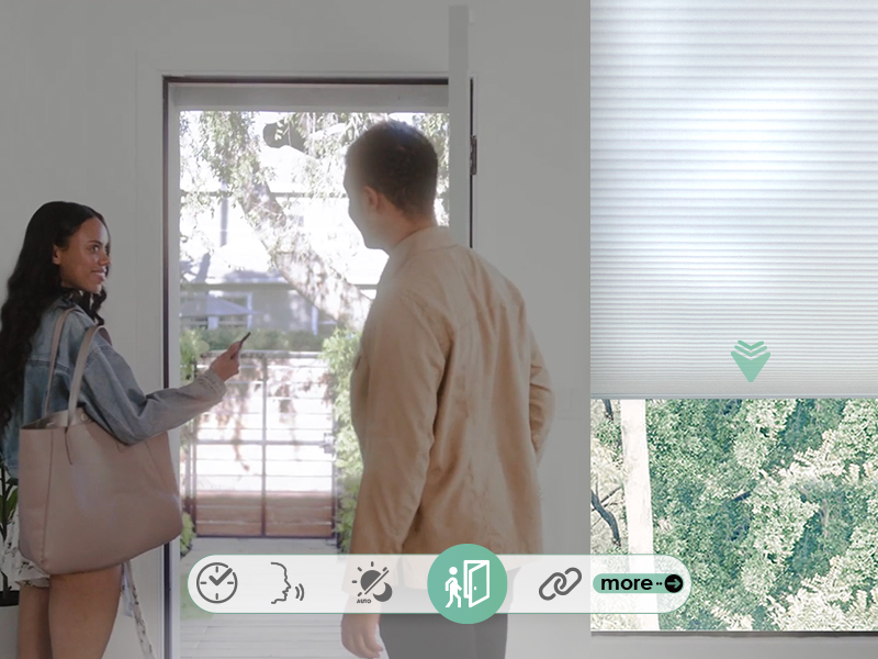 Amazon.com: Yoolax Motorized Cellular Shades Compatible with Alexa, Motorized Blinds Smart ...