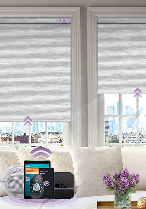 Amazon.com: Graywind Motorized Zebra Blinds Compatible with Alexa Google WiFi Hardwired Smart ...