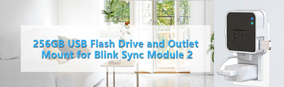 Amazon.com: 256GB Blink USB Flash Drive for Local Video Storage with ...