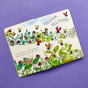 Little Snail's Book of Bugs (The Big Book series) : Zommer, Yuval: Amazon.co.uk: Books