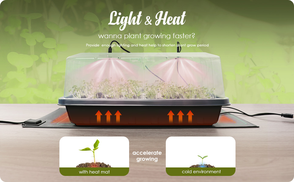 Amazon.com : LIPSUN Seed Starter Tray Kit with Grow Light, Seedling Starter Trays, 48 Cells ...