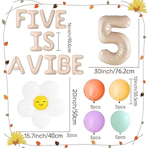 Amazon.com: JeVenis Five is a Vibe Birthday Decorations 5th Birthday Decorations Groovy Daisy ...