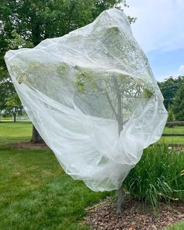 Amazon.com : 15ft x 15ft Fruit Tree Netting Cover with Zipper & Drawstring, Insect Bird Barrier ...