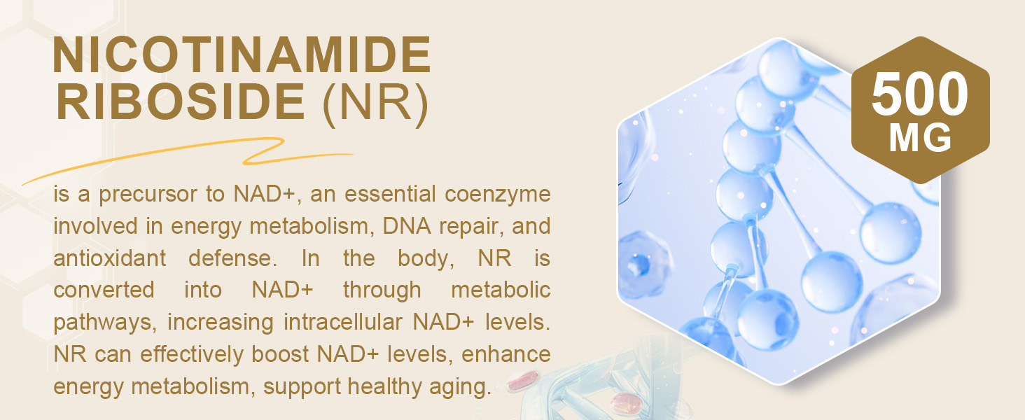 Amazon.com: Totaria NMNH (Dihydronicotinamide Mononucleotide), NMN Alternative Supplement w ...