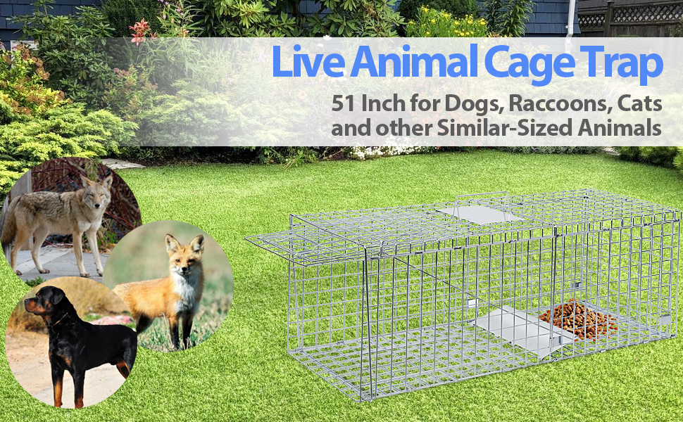 Amazon.com : Toriexon Large Live Catch Animal Traps 51 X19 X17 Inch, Easy to Set and Release ...