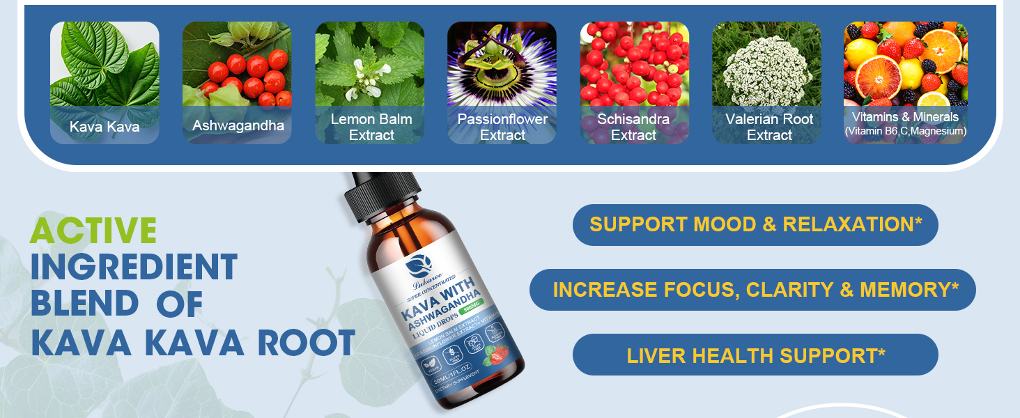 Amazon.com: (3 Pack) Kava Kava Root Extract Supplement - Calming High Concentration Kava w ...