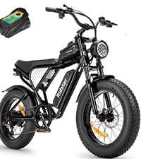 Amazon.com : YVY Electric Dirt Bike for Adults,1000W/1500W/2000W Motor 20" Fat Tire E Bike, Off ...