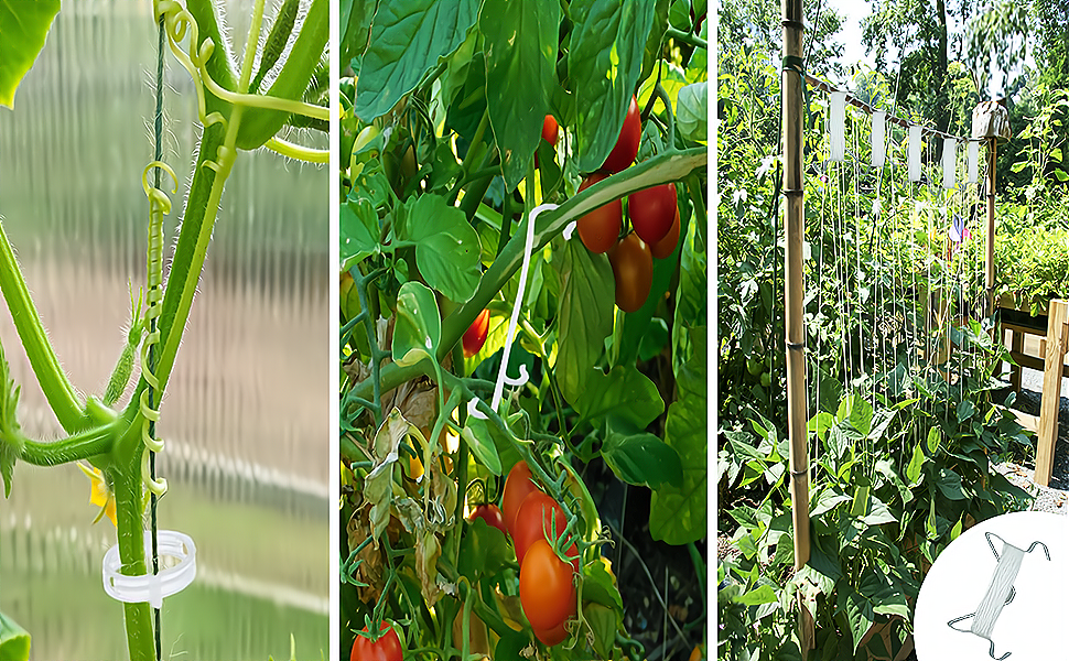 Amazon.com : 120Pcs Tomato Support Kits,50Pcs Tomato Clips,50Pcs Plant Support J Hook,20Pcs ...