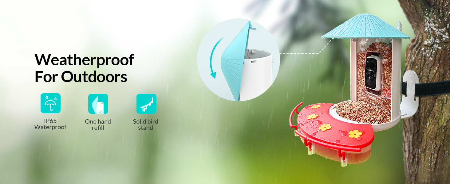 Amazon.com : NETVUE Birdfy Hummee - Smart Hummingbird Feeder with Camera, Auto Capture Bird ...