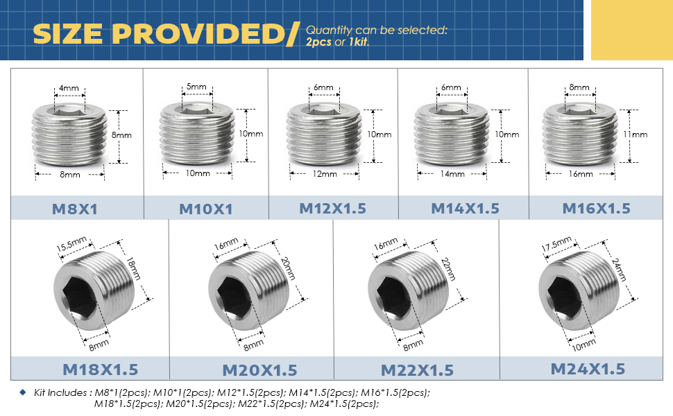 Metric Socket Pipe Plugs