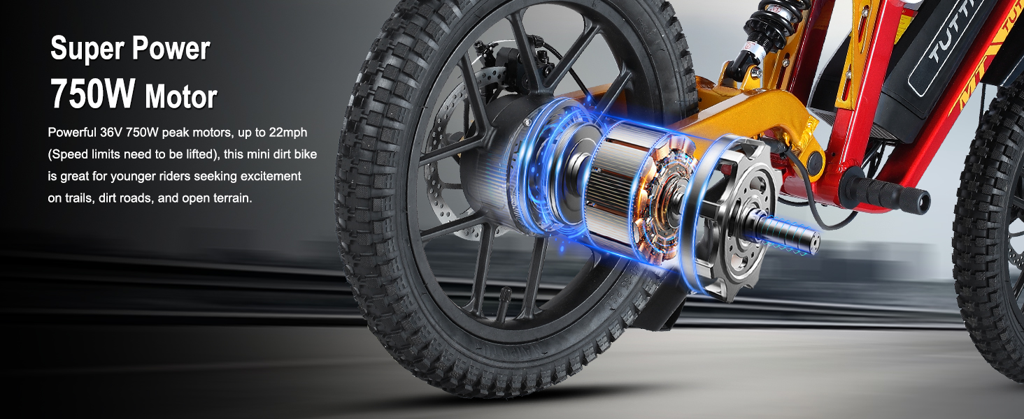 Amazon.com: Tuttio ARC-I Kids-Electric-Dirt-Bike - 750W Mini-Dirt-Bike 22MPH, 468WH, 16 Inch ...