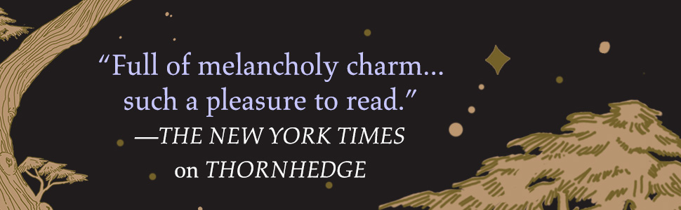 A Sorceress Comes to Call: Kingfisher, T.: 9781250244079: Amazon.com: Books