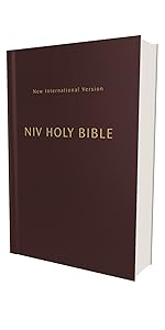 NIV, Holy Bible, Compact, Paperback, Burgundy, Comfort Print: Zondervan: 9780310461241: Amazon ...