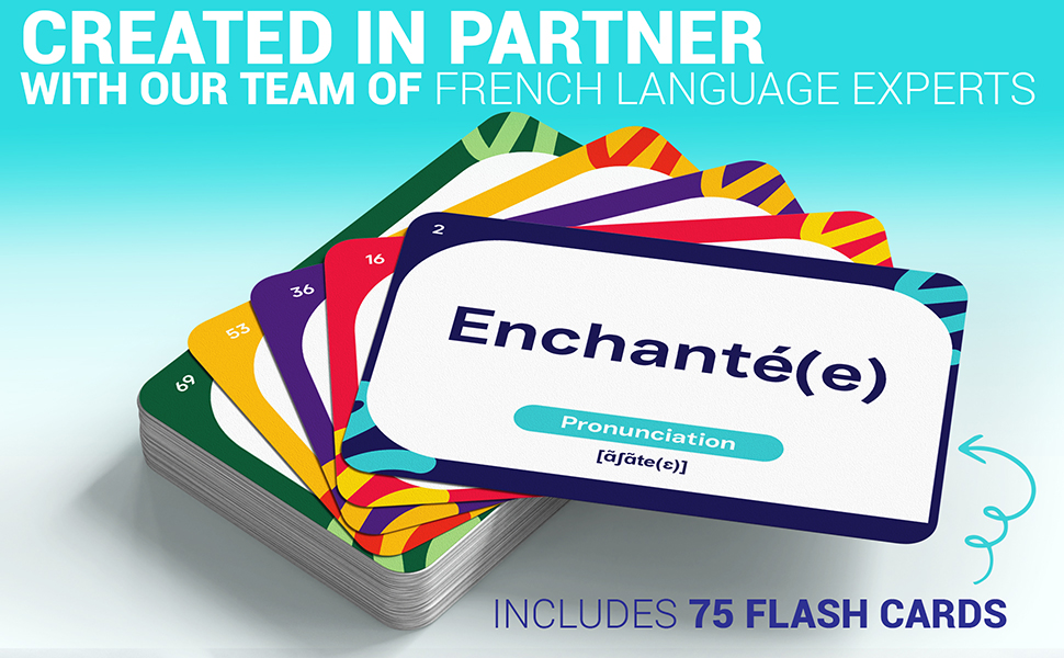 Amazon.com: French Conversational Phrase Flash Cards - 75 Beginner ...