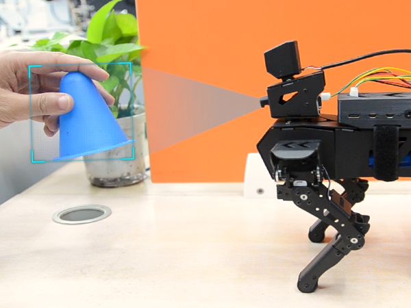 Mua XiaoR GEEK Robot Dog Kit for Raspberry Pi 4GB, AI Visual Recognition Interaction Smart Robot ...