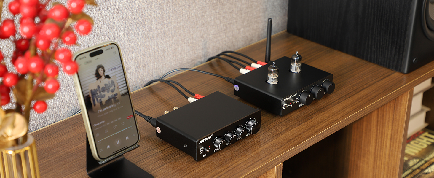 Amazon | AIYIMA A01 2.0/2.1 チャンネルアンプ 100W*2 パワーアンプ RCA&AUX TPA3116D2*2+NE5532DR*3 クラスD 低音と高音の ...