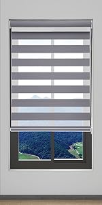 Amazon.com: Changshade Cordless Zebra Roller Shade with Valance, Double Layered Window Blind for ...